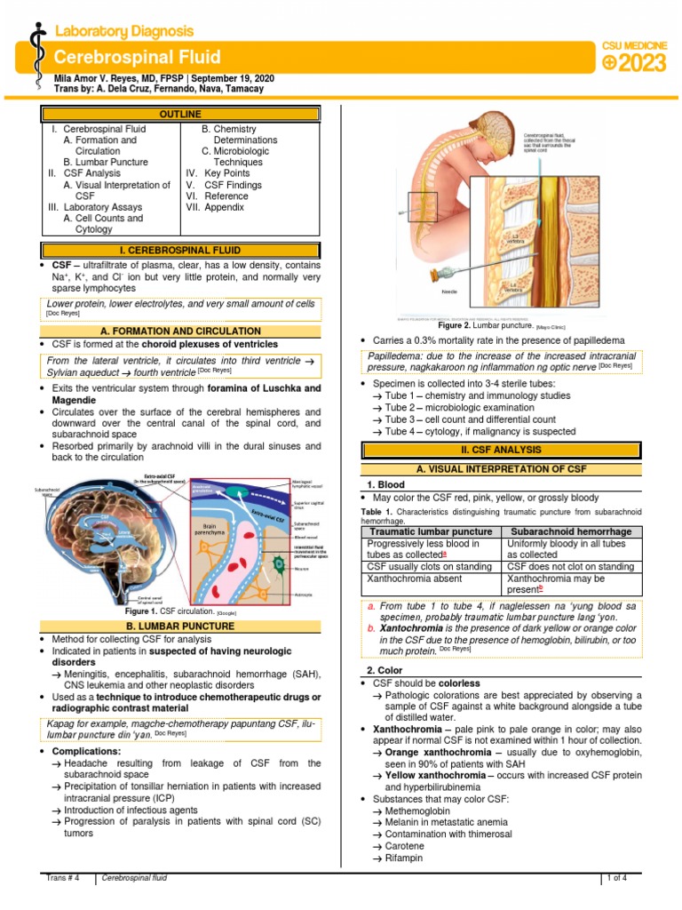CSF Analysis and Lumbar Puncture Insights | PDF | Cerebrospinal Fluid ...