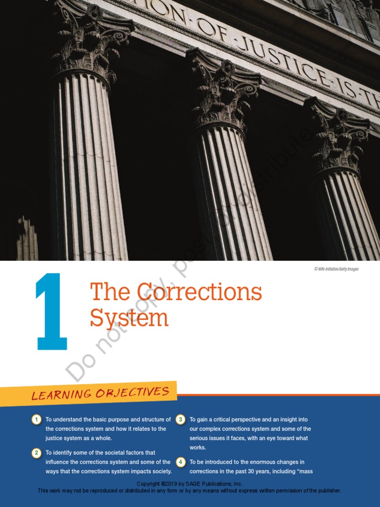 The Corrections System | PDF | Incarceration In The United States | Prison