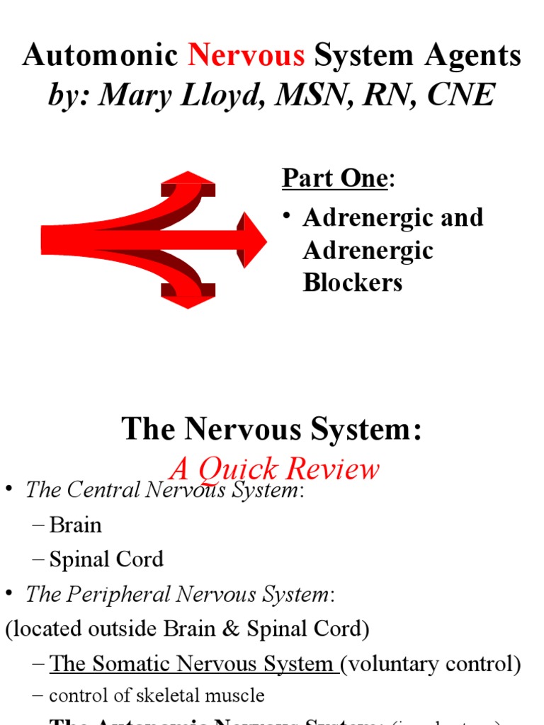 ANS Agents Part One Rev 1 | PDF | Nervous System | Autonomic Nervous System