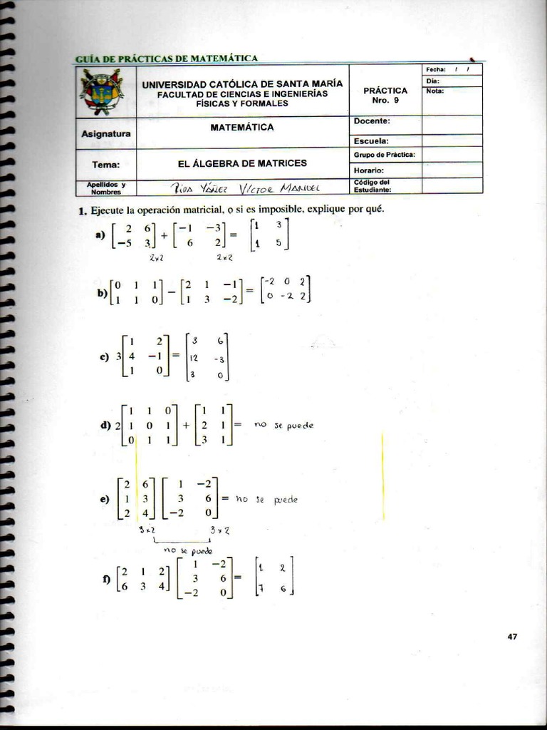 Algebra de Matrices | PDF