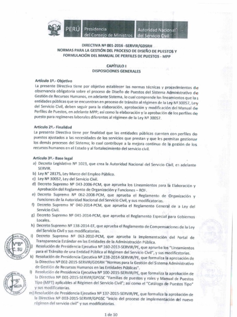 Manual de Perfiles de Puestos MPP | PDF