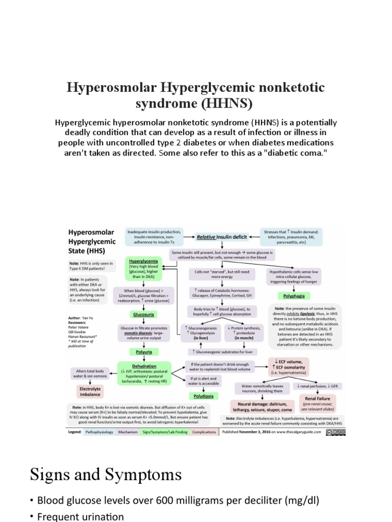 Understanding Hyperosmolar Hyperglycemic Syndrome | PDF | Intravenous ...