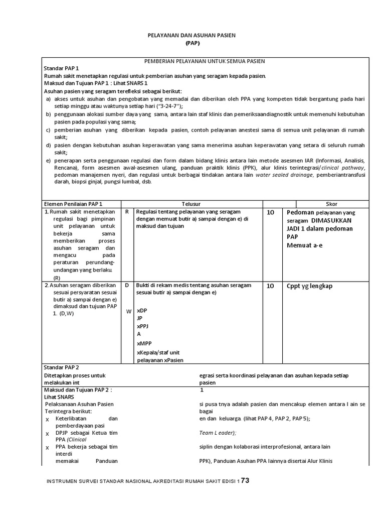 Instrumen Snars Pap | PDF