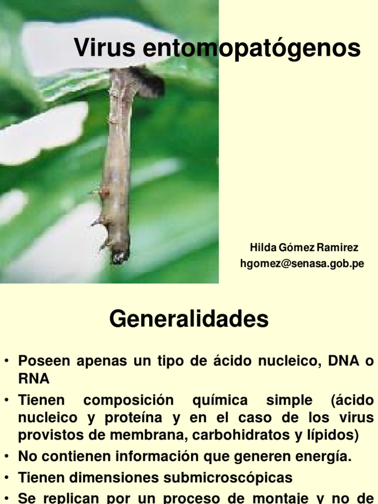 Virus Entomopatogenos | PDF | Virus | Cultivo de células