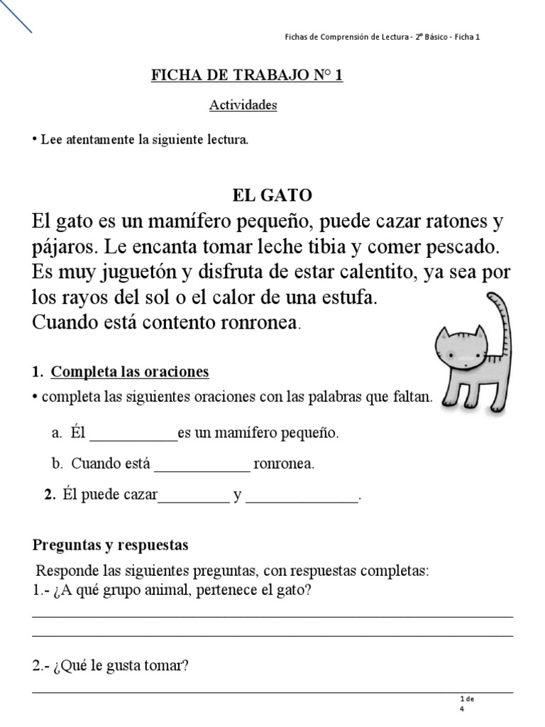 Comprensión Lectora: El Gato para Niños | PDF | Alimentos