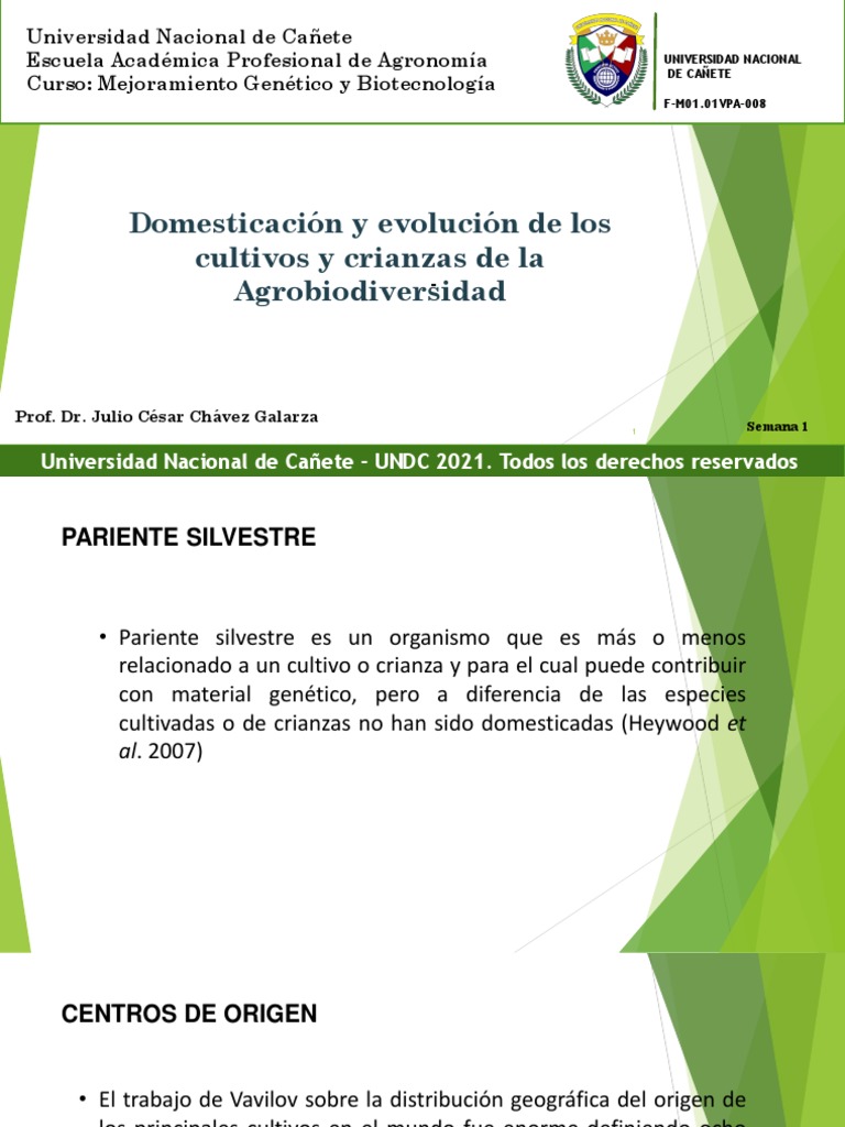 Clase 1 Mejoramiento Genetico | PDF | Domesticación | Plantas