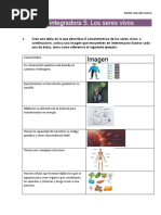 Módulo 17 Proyecto Integrador | PDF
