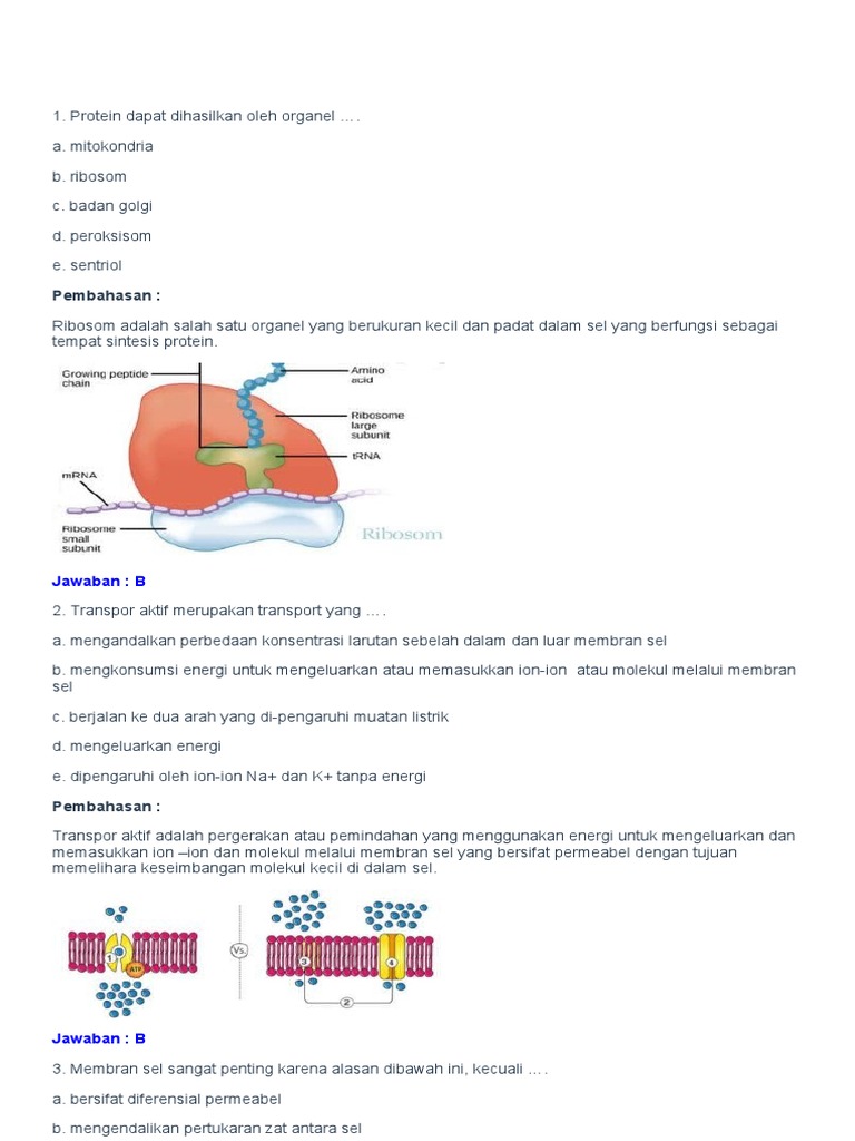 Soal Biologi Tentang Sel | PDF