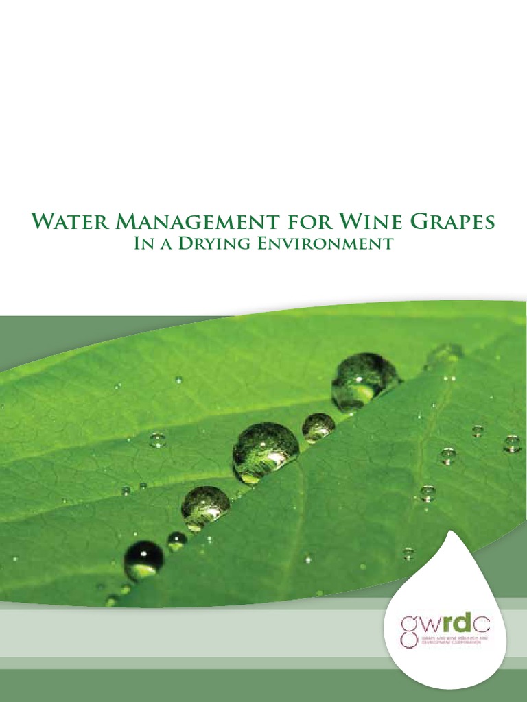 Efficient Water Management for Grapes | PDF | Viticulture | Vineyard