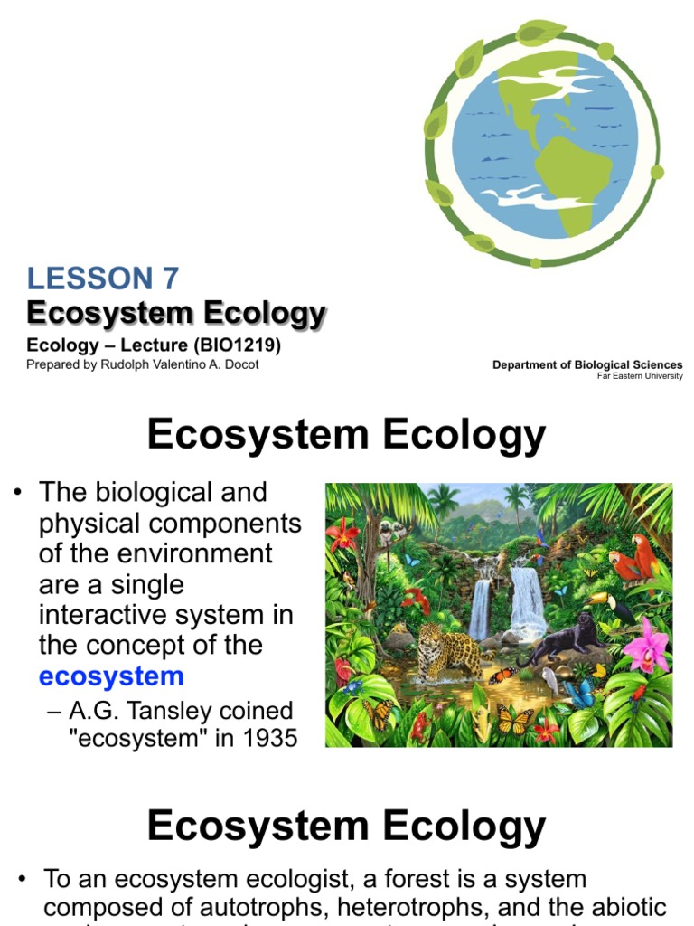 Ecology Lec - Lesson #7 - Ecosystem Ecology | PDF | Primary Production ...