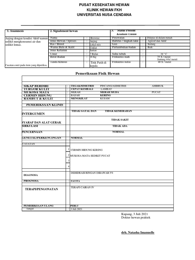 Ambulator Pemeriksaan Fisik Hewan Natasha Imanuelle 2009020017 | PDF