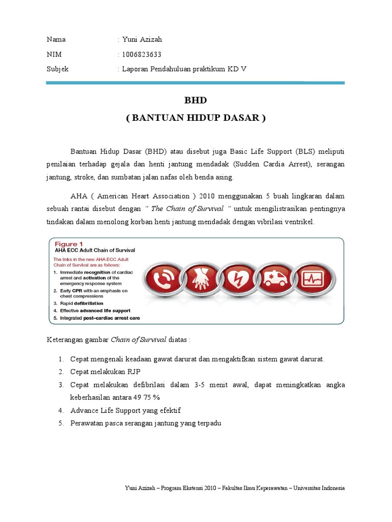 LTM-BHD Based On Aha 2010 | PDF
