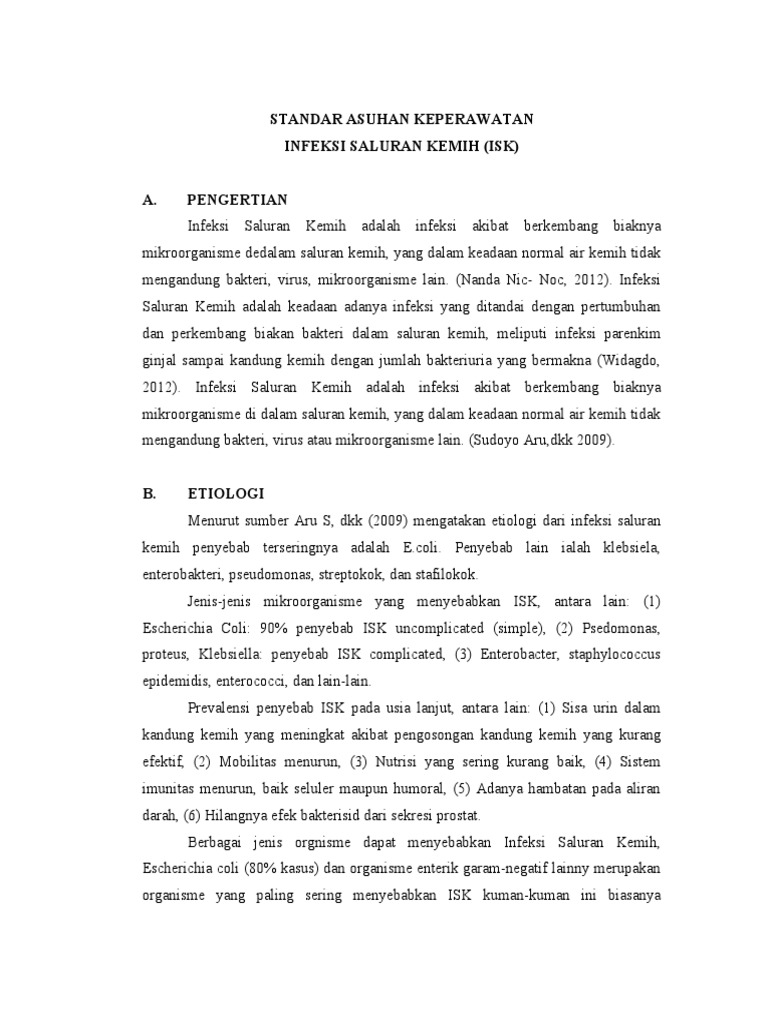 Standar Asuhan Keperawatan ISK | PDF