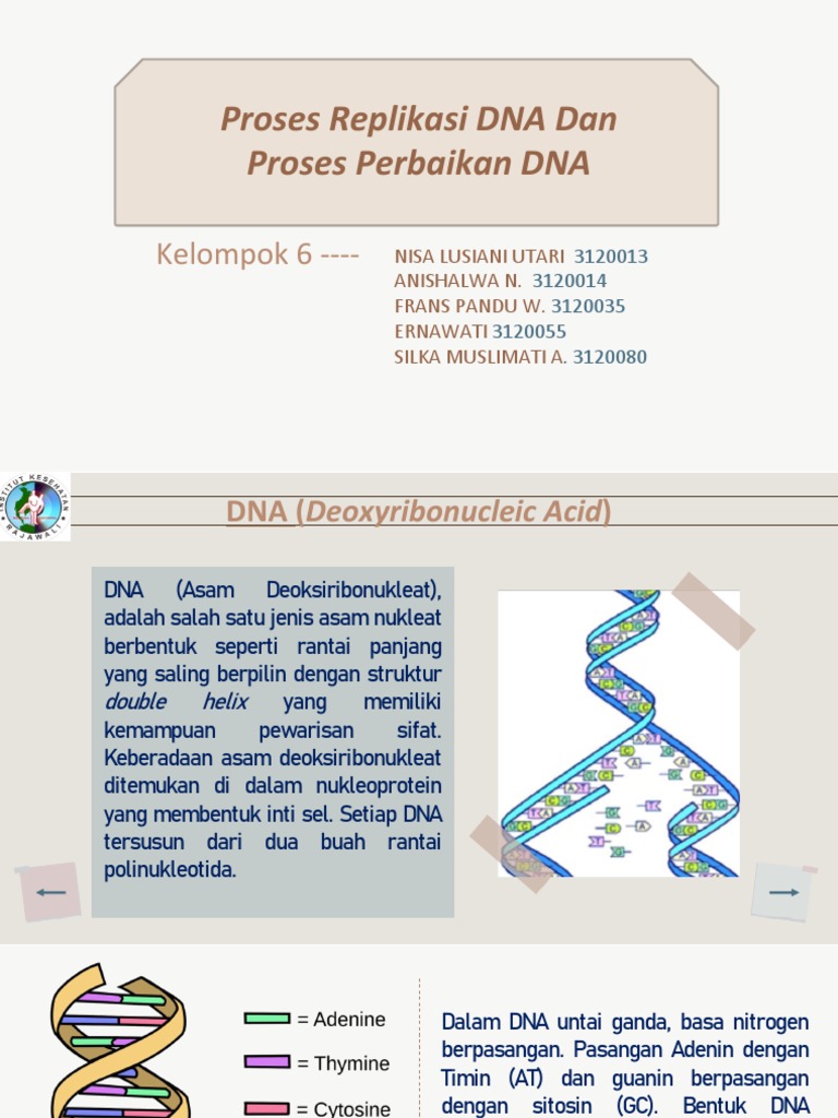 Dna Repair Dan Replikasi | PDF | Sains & Matematika