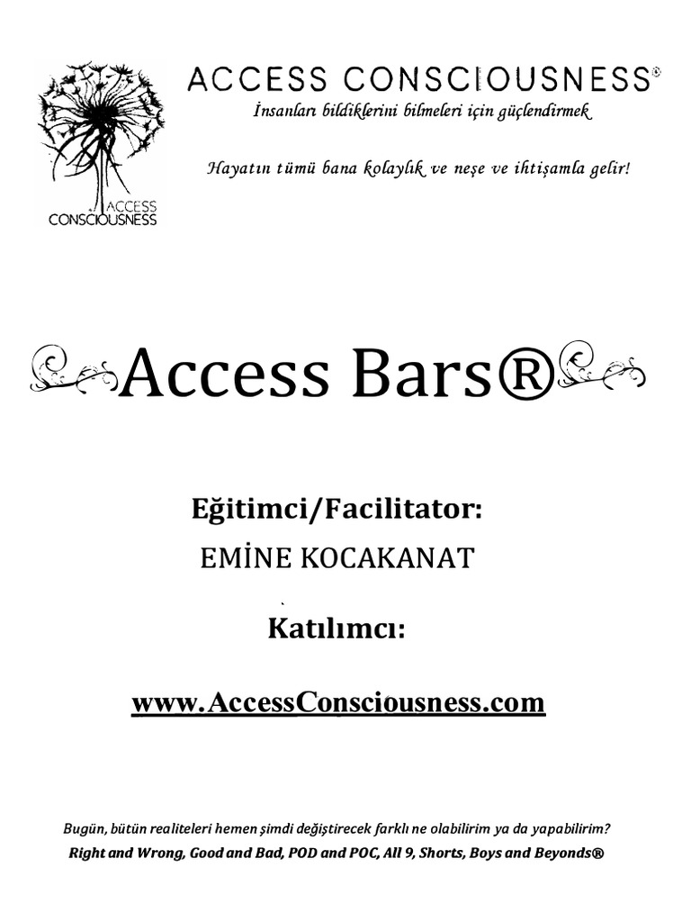Access Bars | PDF
