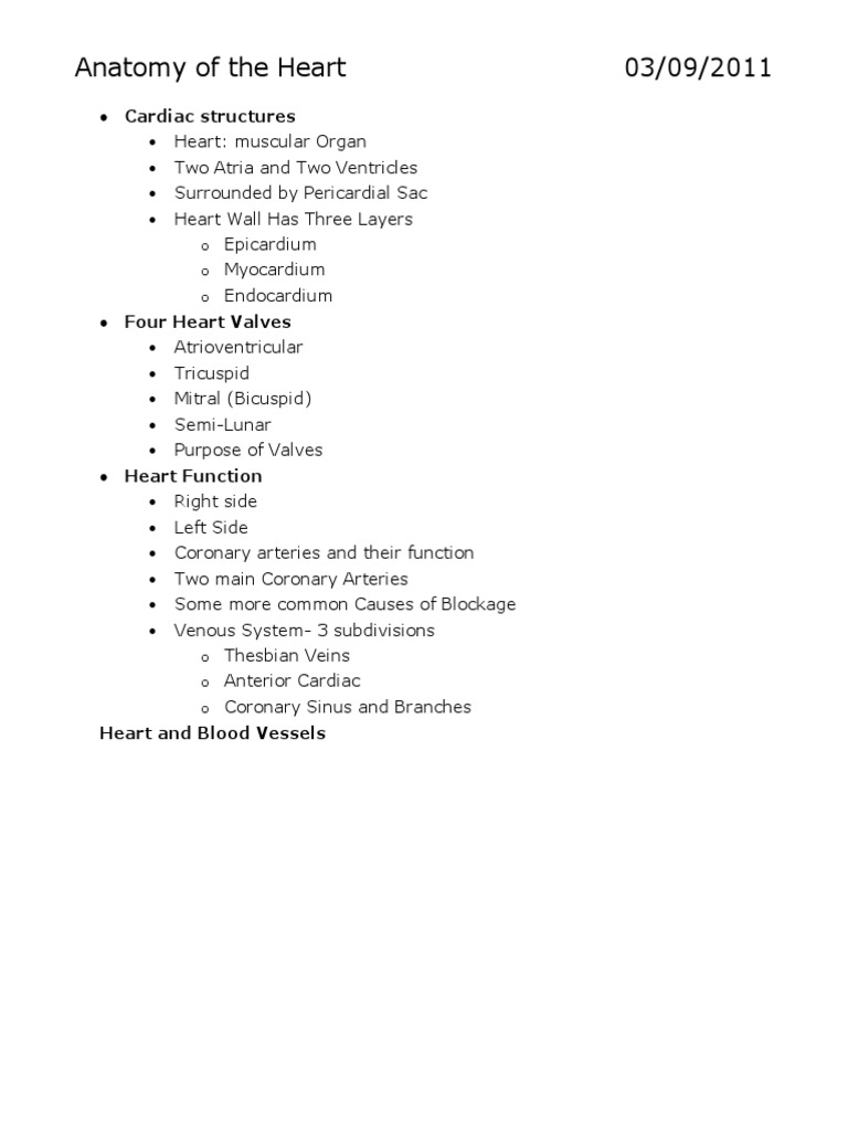 Anatomy of The Heart | PDF | Heart | Myocardial Infarction