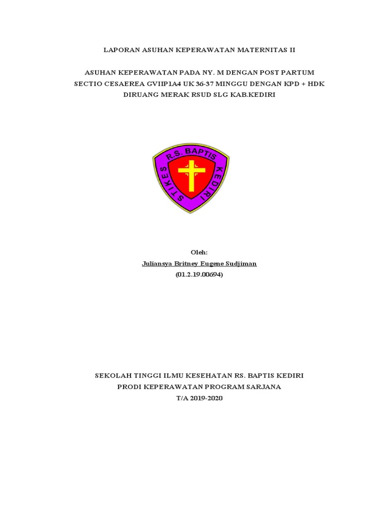 LP HDK (Juliansya Sudjiman) | PDF | Kesehatan Holistik | Sains & Matematika