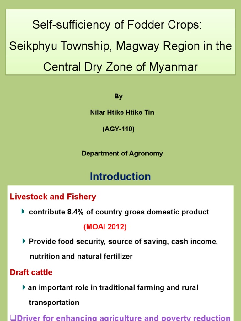 Nilar Htike Htik Tin | PDF | Fodder | Maize