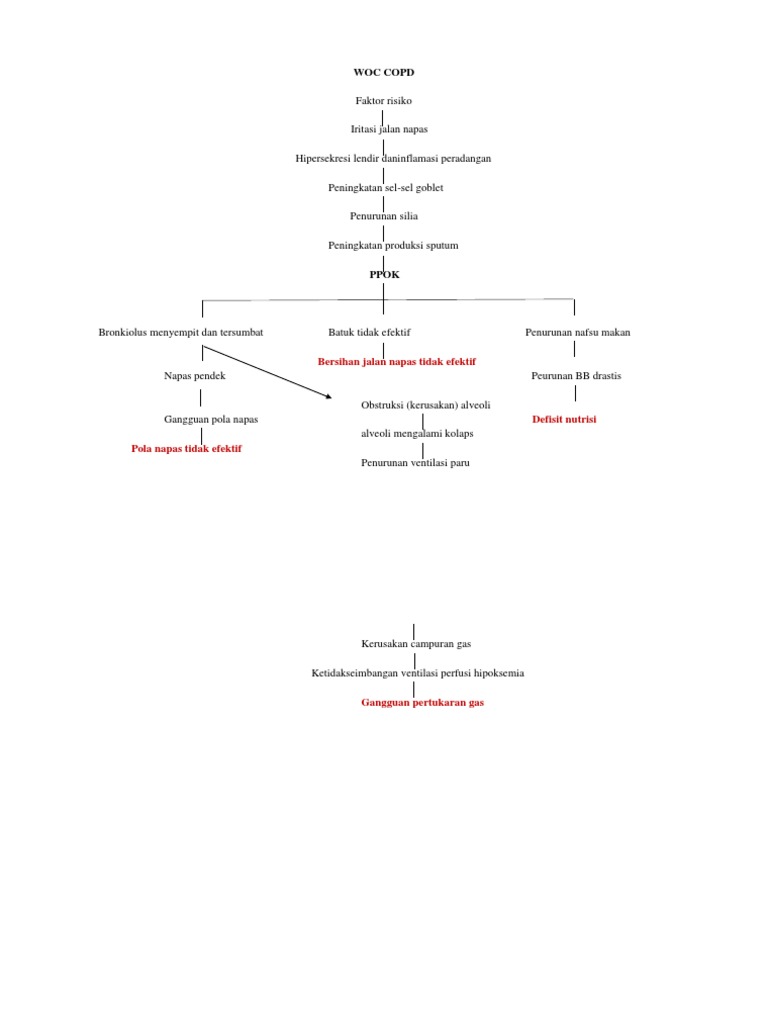 Woc Dan MCP Copd | PDF
