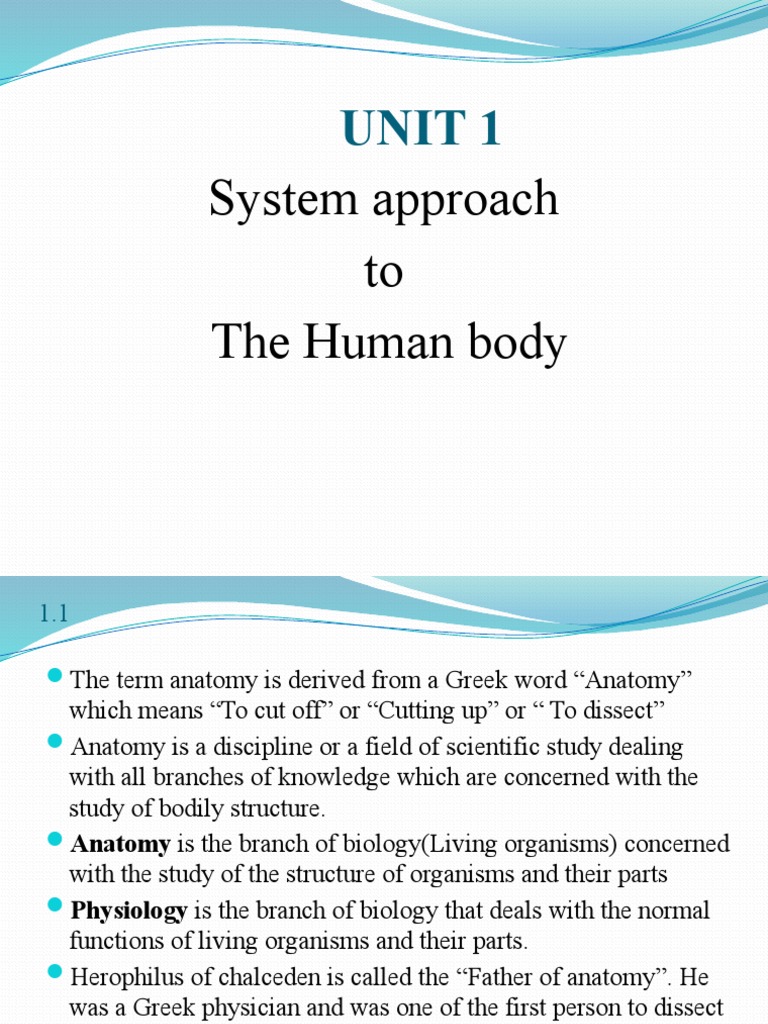 Unit 1 System Approach To Human Body | PDF | Anatomical Terms Of Motion ...