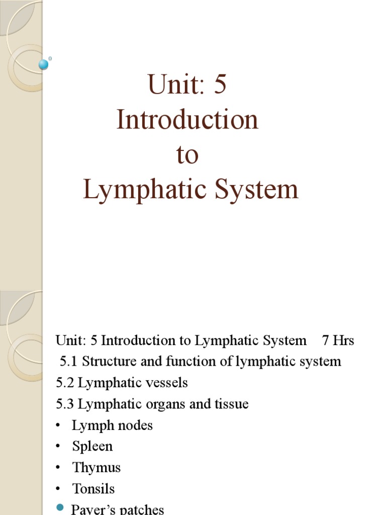 UNIT 5 Lymphatic System | PDF | Lymph Node | Lymphatic System