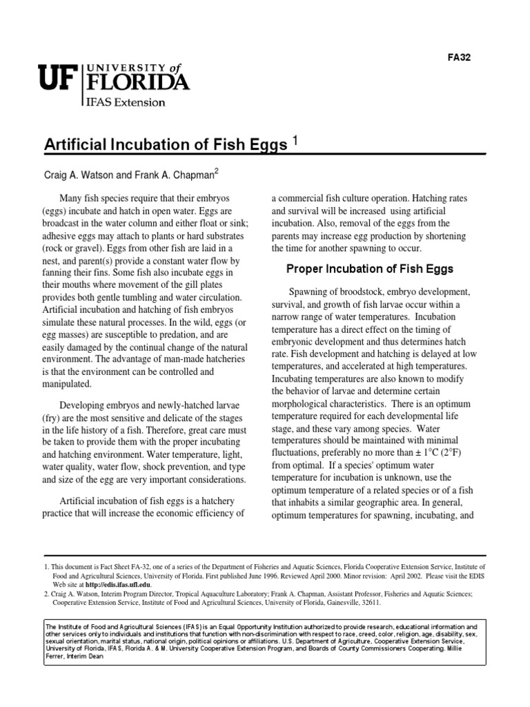 Fish Egg Incubation Guide | PDF | Spawn (Biology) | Egg