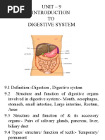 Digestive System Anatomy | PDF | Human Digestive System | Stomach