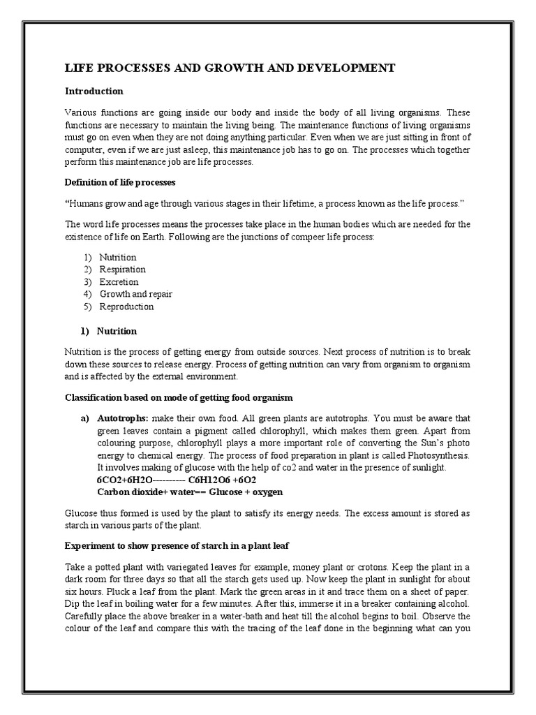 Understanding the Complex Processes of Life: An In-Depth Look at Human ...