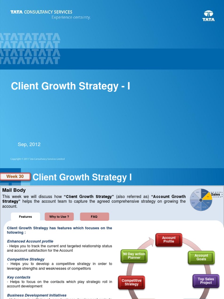 Lutron Client Growth Strategy Overview | PDF | Strategic Management ...