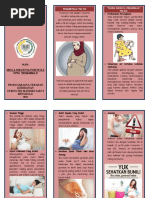 Leaflet Dismenore Fix | PDF