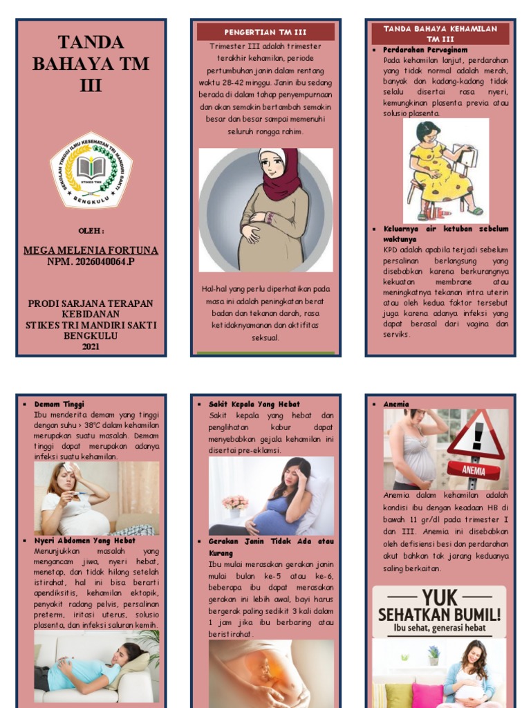 Leaflet - Tanda Bahaya TM III | PDF