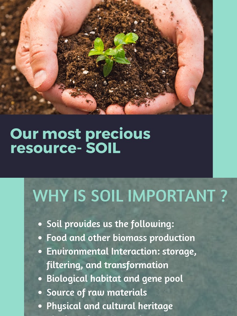 Our Most Precious Resource - Soil | PDF | Soil | Erosion