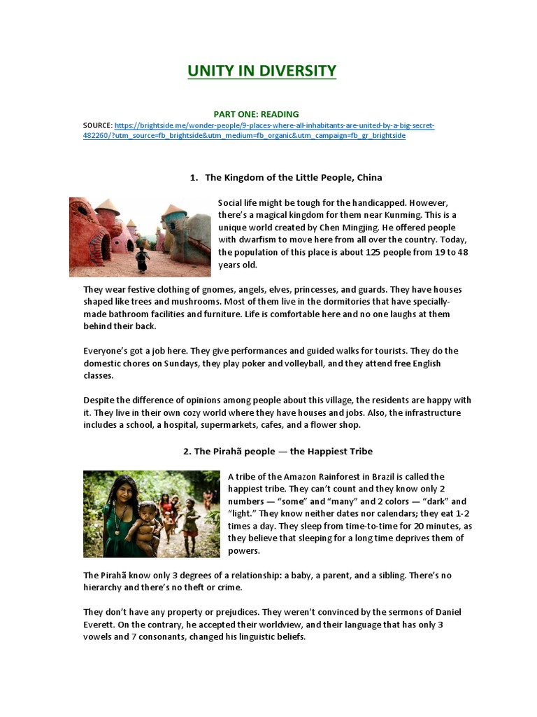 Unity in Diversity Lesson B1-B2 | PDF | Amish | Twin