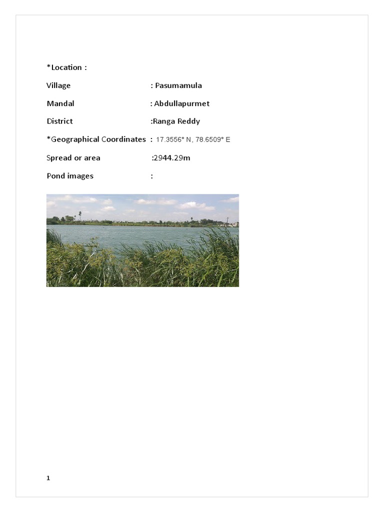 Pond Ecosystem | PDF