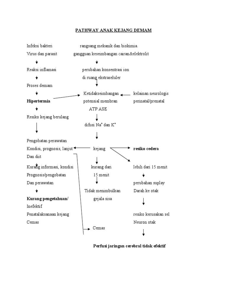 Pathway Anak Kejang Demam | PDF