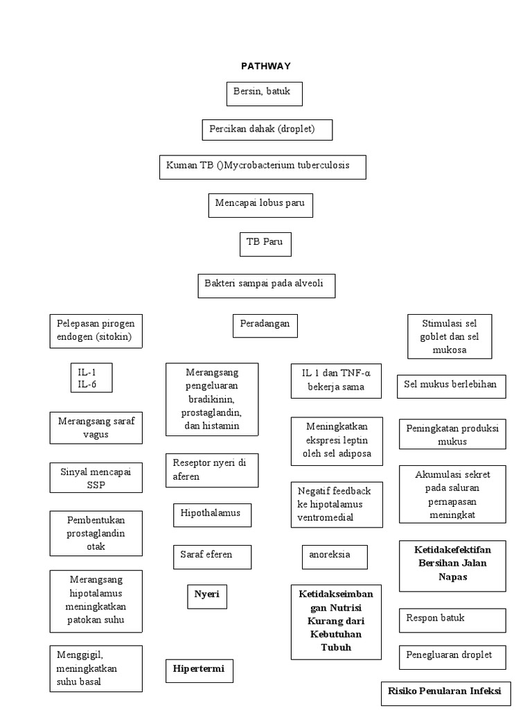 Pathway TB Sunardi | PDF