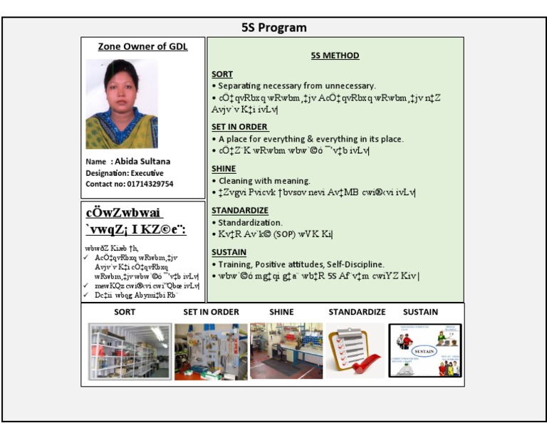 5S Program: Zone Owner of GDL | PDF
