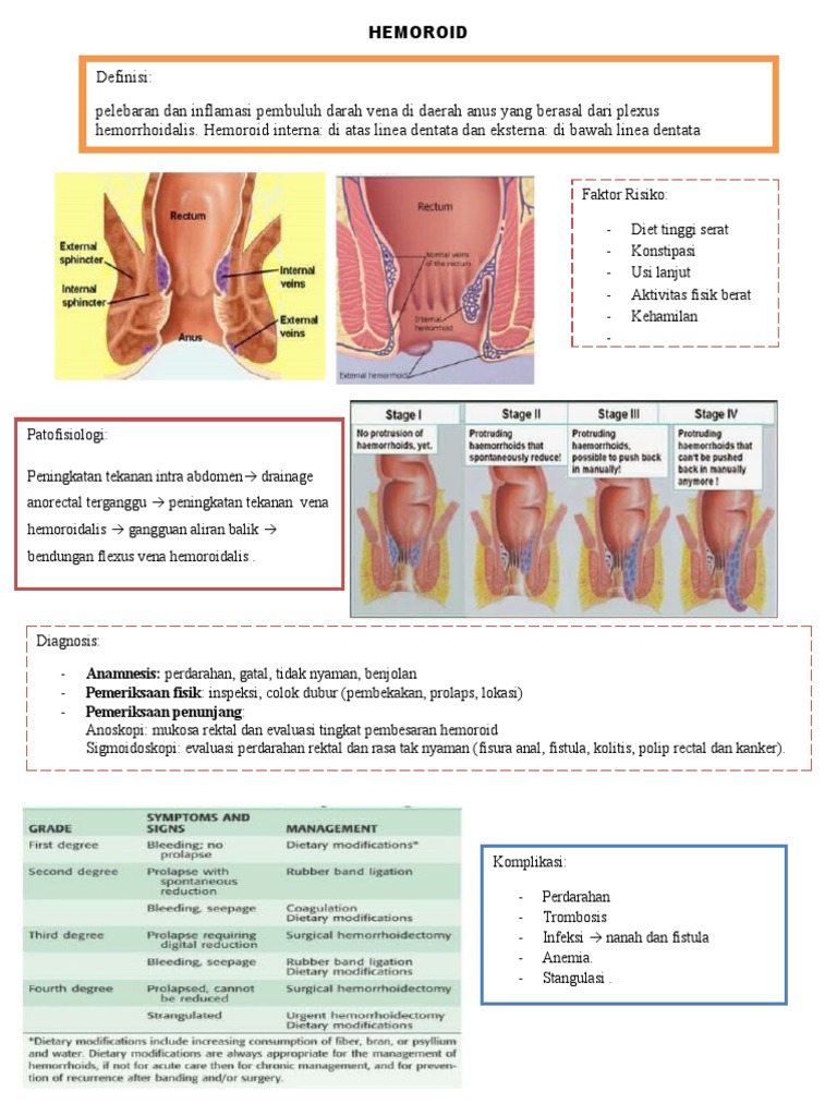 Hemoroid dan Apendisitis: Gejala & Diagnosis | PDF