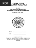 Skema Dermatom Dan Sklerotom | PDF