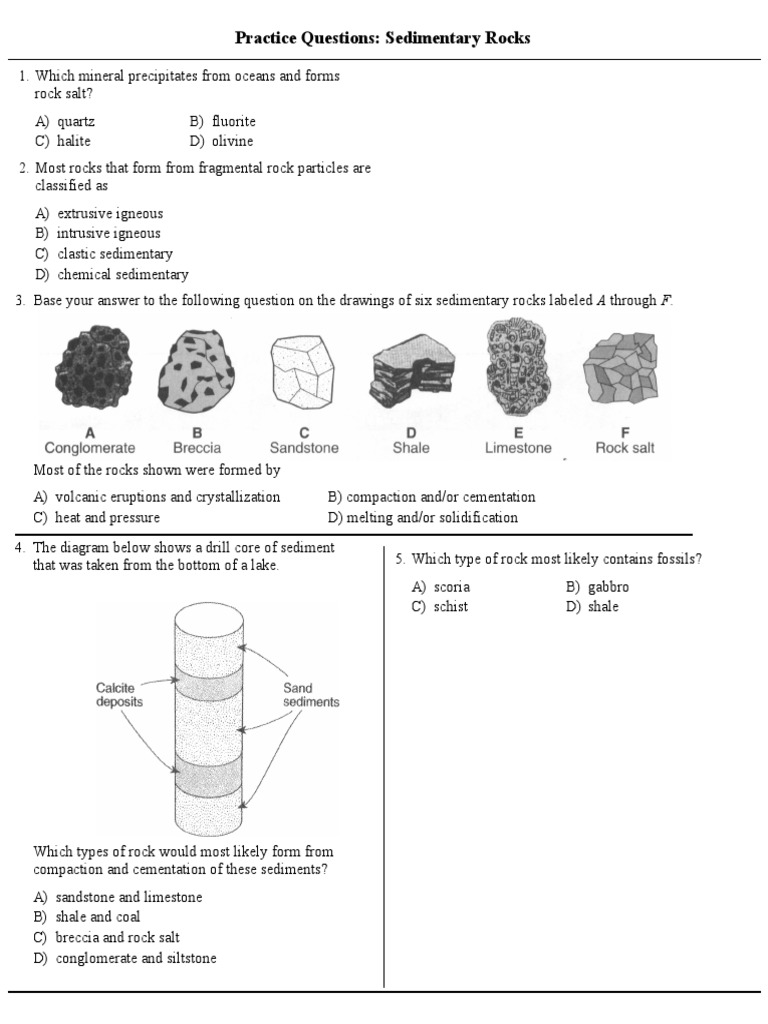 Practice Questions: Sedimentary Rocks | PDF | Sedimentary Rock | Rock ...