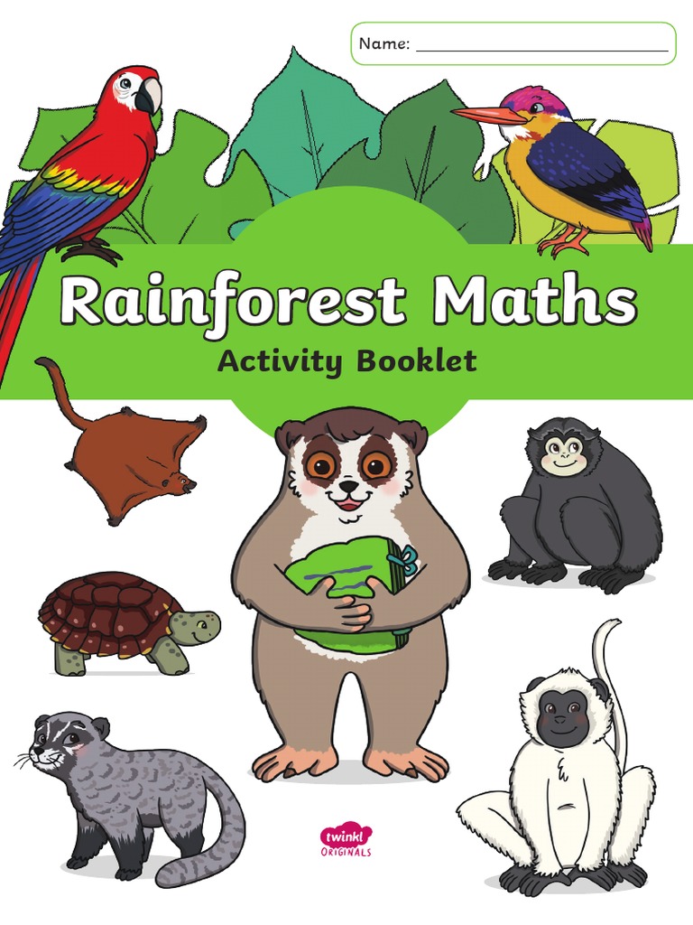Rainforest Maths Activity Booklet | PDF