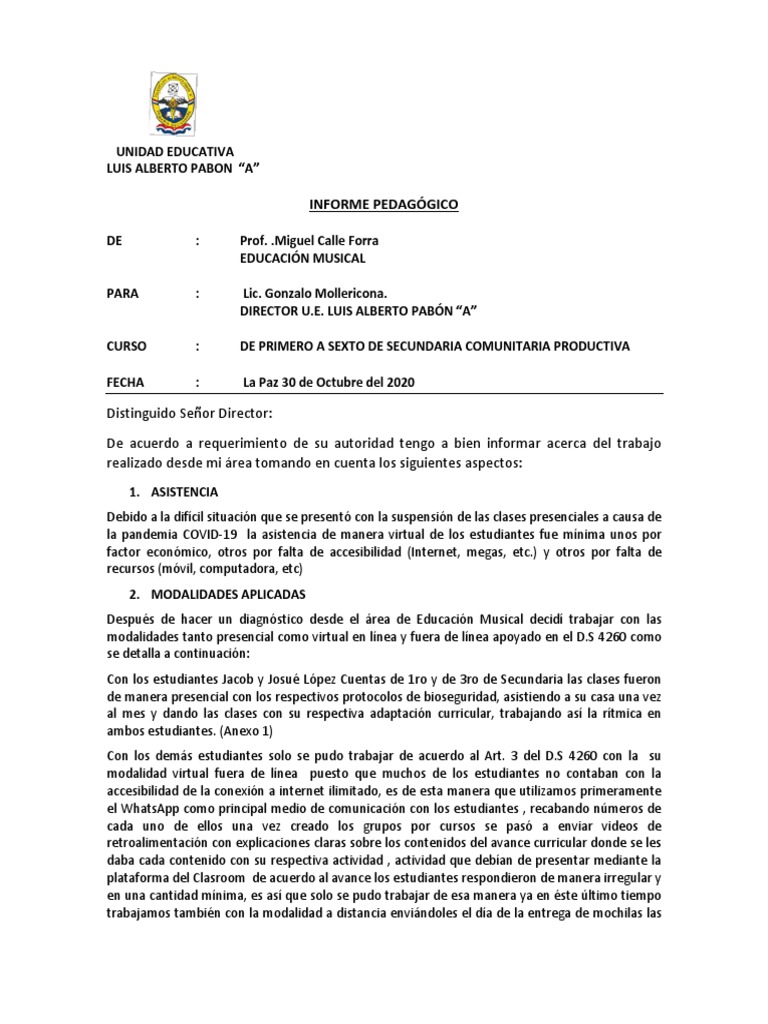 Informe EJEMPLO DE ESTUDIANTES | PDF | Internet | Science