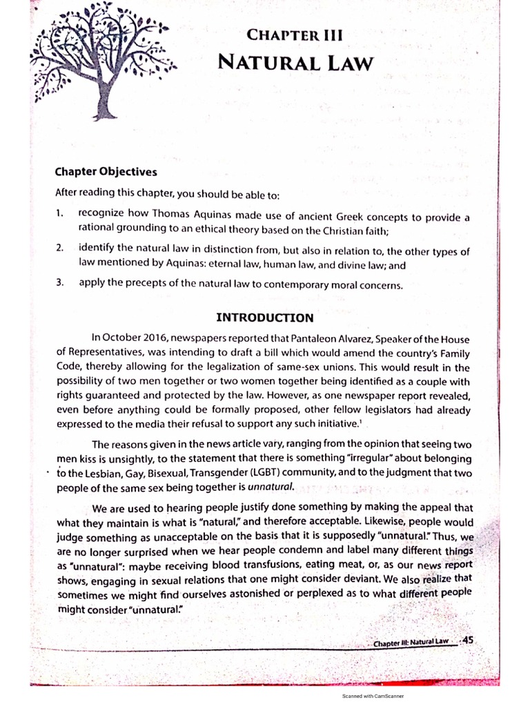 Module 3-Natural Law | PDF