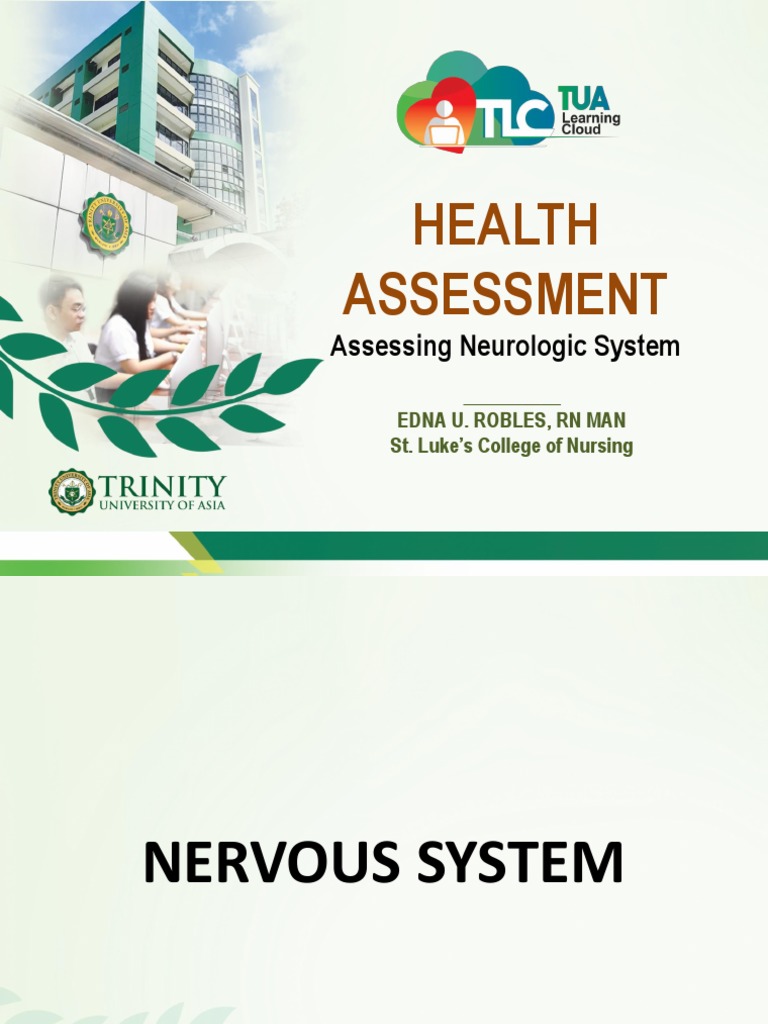 Neurologic System Assessment Guide | PDF | Nervous System | Central ...