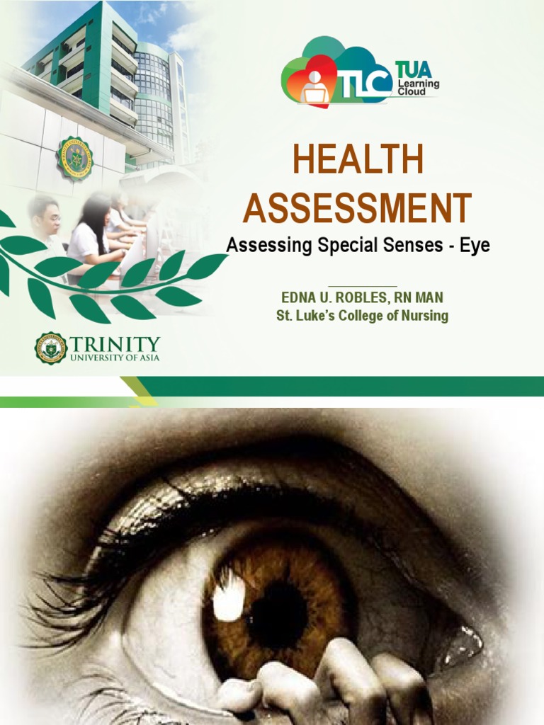 Assessing Special Senses - Eye (Feb 6) | PDF | Eye | Human Eye
