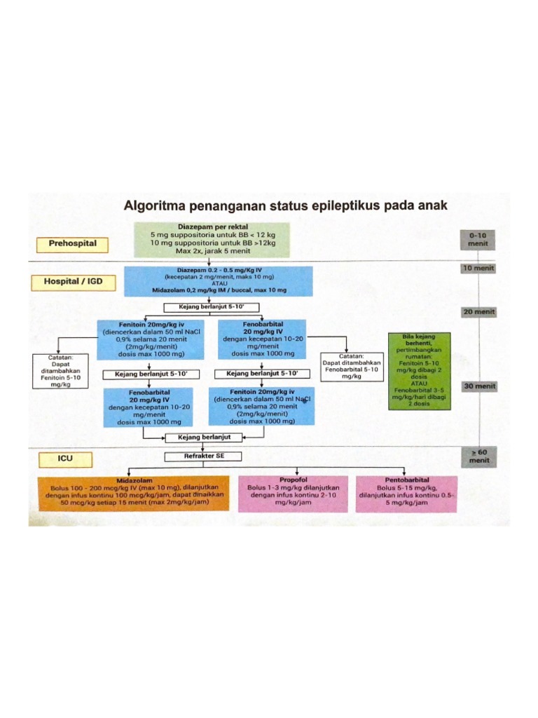 Algoritma Penanganan Status Epileptikus Pada Anak | PDF