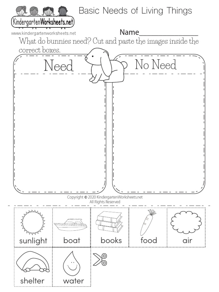 Kids Science Worksheet | PDF