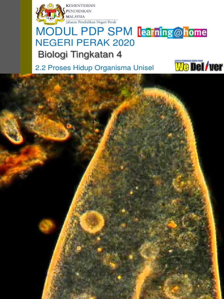 Biot4 2.2 Proses Hidup Organisma Unisel (BM) | PDF