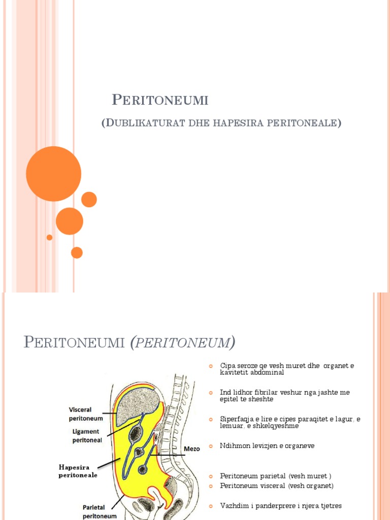 Peritoneum I Pdf