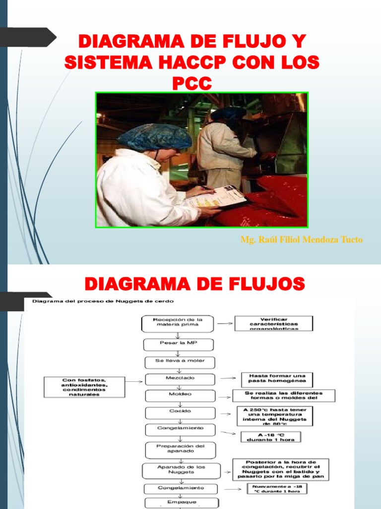 Clase 2 Sistema Haccp y PCC | PDF | Análisis de Riesgo y Puntos ...